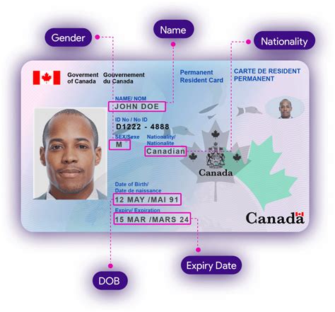 Document Processing Cappersoft