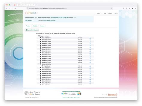 Add Zip Previewer And File Downloader To Demo And Prod · Issue 196 · Iqss