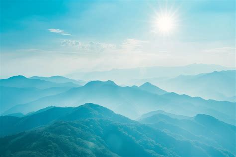 森林公园自然风景图片 森林公园自然风景照片 森林公园自然风景作品下载 设图网