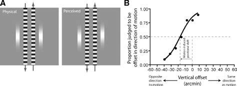 Figure 1 From Dynamics Of Spatial Distortions Reveal Multiple Time Scales Of Motion Adaptation