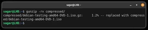 Using Gunzip Command In Linux