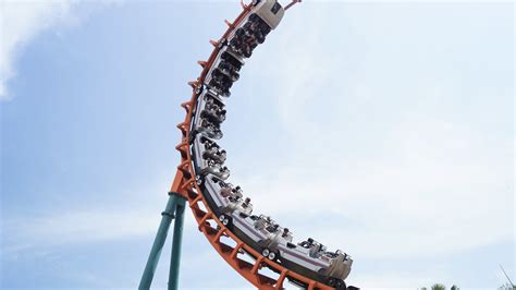 Understanding Radical Functions And Their Applications In Real World