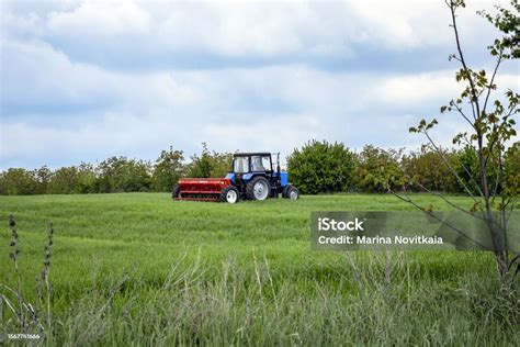 운전자는 겨울 밀을 광물질 비료로 비옥하게하는 바퀴 달린 트랙터입니다 곡물 작물 공급 시골 풍경 농지 선택적 초점 복사 공간 0명에 대한 스톡 사진 및 기타 이미지 Istock