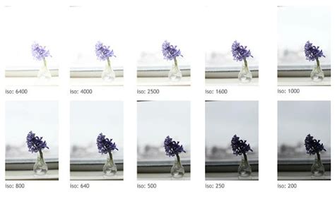Pillars Of Photography Understanding ISO For Beginners