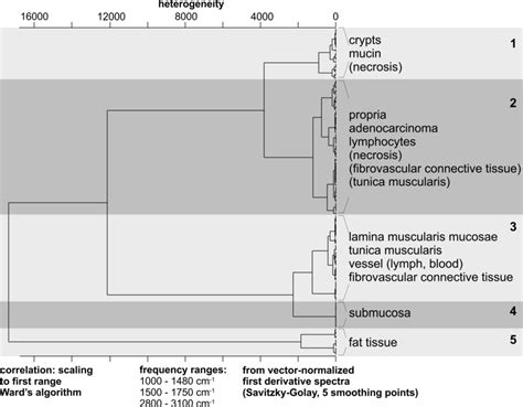 Dendrogram Produced By Agglomerative Hierarchical Clustering Hca Of