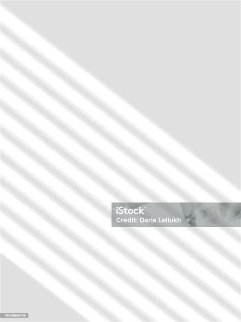 그림자 오버레이 효과 투명하고 부드러운 빛과 창문과 Jalousie 프레임의 그림자 현대 평면 벡터 그림입니다 투명한 나뭇잎 그림자 오버레이 효과의 모형 벡터 그라디언트