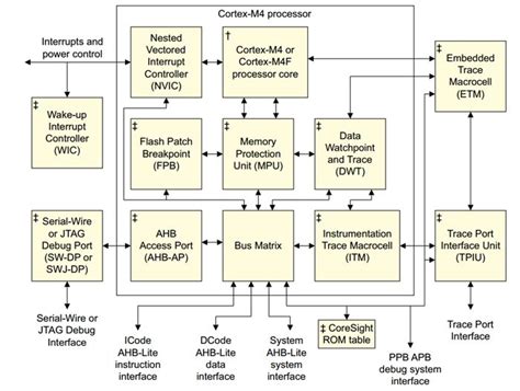 Xmc实验分享之六十三 用dwt精确测量代码执行情况 Infineon Developer Community