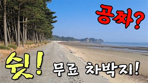 찾았다 완벽한 바다뷰 소나무 그늘 비용 무료 딱 휴가철 시즌까지 최고 캠핑 노지 차박지 공개 Korea Camping