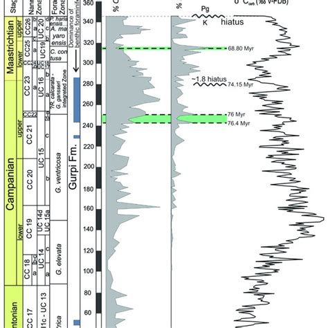 Integrated Biostratigraphy And Bulk Carbonate Carbon Isotope Records Of Download Scientific