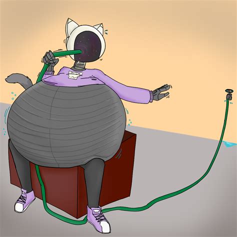 Hosed Or Curiosity Filled The Cat By Superspacezone On Deviantart