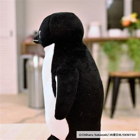 🇯🇵日本直送🇯🇵 🇯🇵日本行貨🇯🇵 1677 日本鐵道 Suica 企鵝 Pingu Penguin 毛公仔 Set M Size（ Plush Toy 興趣及遊戲 玩具 And 遊戲類