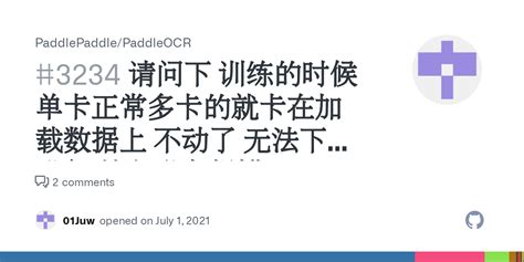 请问下 训练的时候 单卡正常多卡的就卡在加载数据上 不动了 无法下面进行训练 没有报错 · issue 3234
