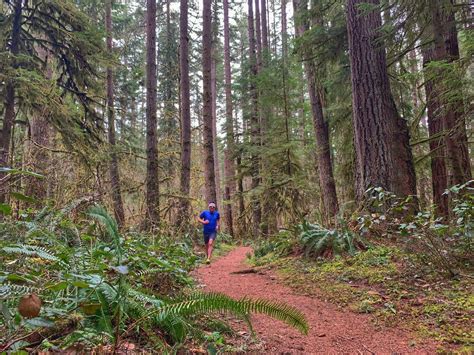 Trail Running In Whatcom County Whatcomtalk