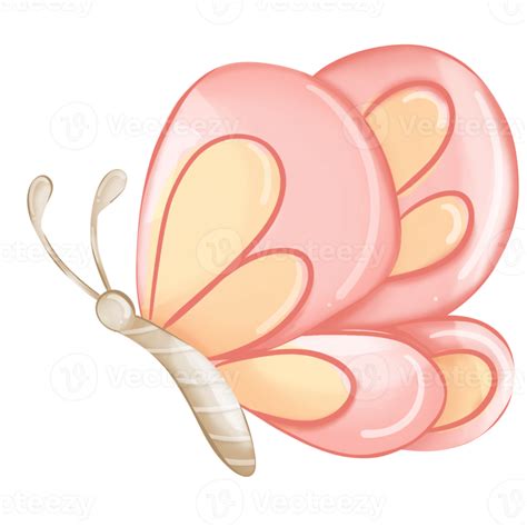 Cute Betterfly Watercolor Spring Seasol Concept 21976900 Png