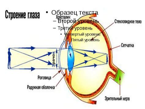 Презентация на тему ГЛАЗ ЗРЕНИЕ скачать бесплатно презентации по Биологии