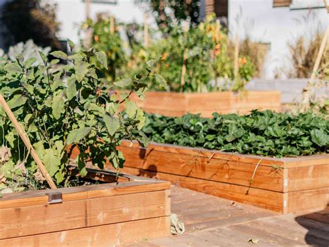 Enhance Your Outdoor Space With Planter Boxes National Assemblers