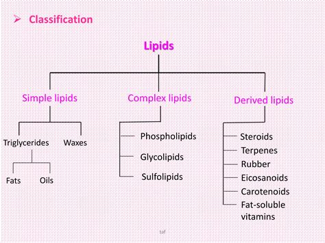 Lipids Pptx
