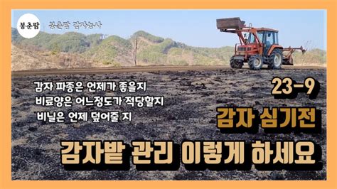 봉춘팜 감자농사 감자 심기 전 감자밭 관리방법 감자 파종시기 감자 비료 종류 Youtube