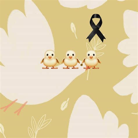 หญิง นวดเพื่อเสริมความงาม โคราช ขัดผิว อบสมุนไพร นวดหน้า กดจุด ยกกระชับ หญิง นวดเพื่อเสริม