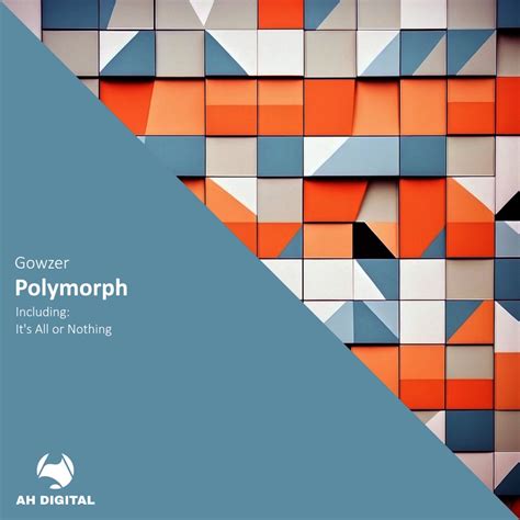 Gowzer Polymorph [ah Digital] Music And Downloads On Beatport