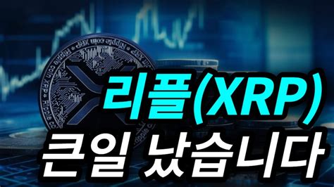 리플 어 리플이 갑자기 왜 이러죠 Youtube