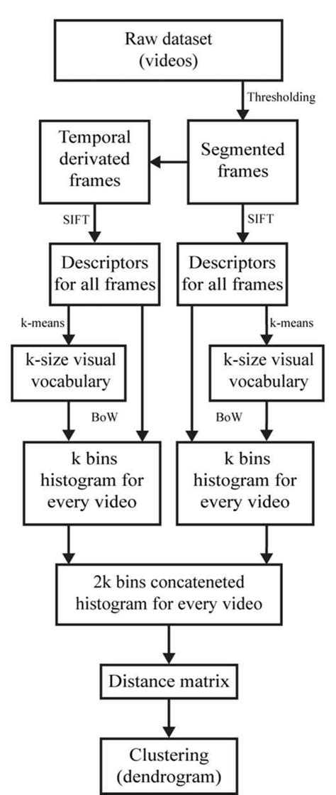 Schematic Flowchart Of The Sift Bow Algorithm See Methods
