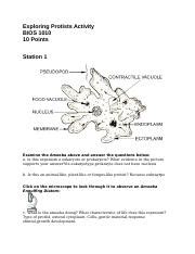 8 1 Exploring Protists Activity DONE Docx Exploring Protists Activity BIOS 1010 10 Points