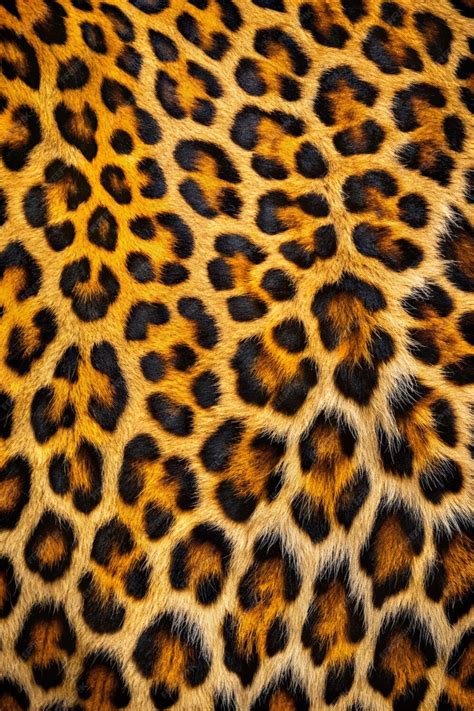 Premium Photo Real Live Jaguar Skin Fur Texture Background Panthera Onca