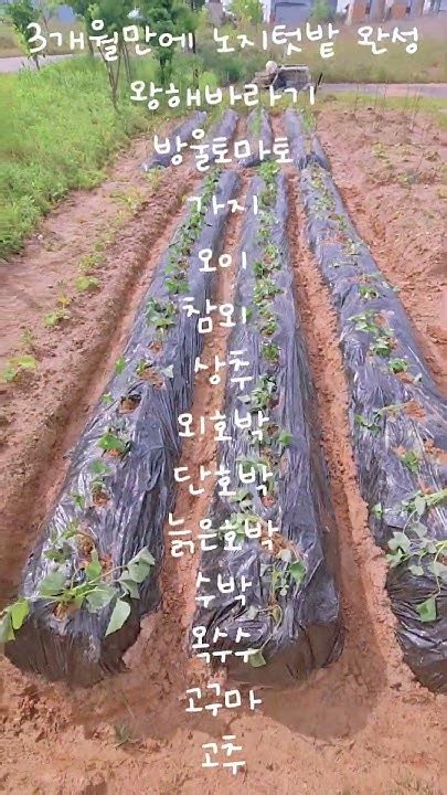 무에서 유를창조하라 Youtube