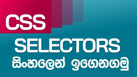 Css Selectors In Sinhala Youtube
