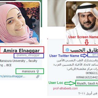 User Profile Information Download Scientific Diagram