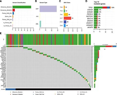 Association Of Idc With Somatic Mutations A B Summary Of Mutation Download Scientific