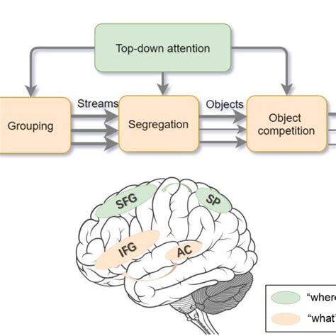 pdf what can computational models learn from human selective