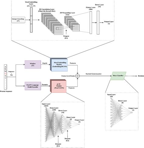The Overall Architecture Of Plmsnosite With The Two Base Models And A
