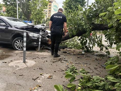 Кола се заби в дърво на бул Сливница в София Снимки