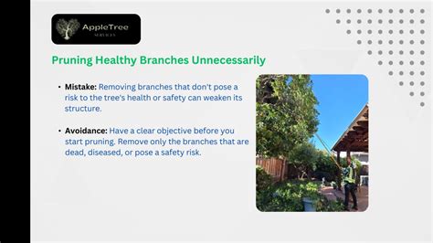 PPT Common Tree Pruning Mistakes And How To Avoid Them PowerPoint Presentation ID