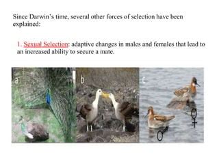 Theory Of Evolution By Natural Selection PPTX