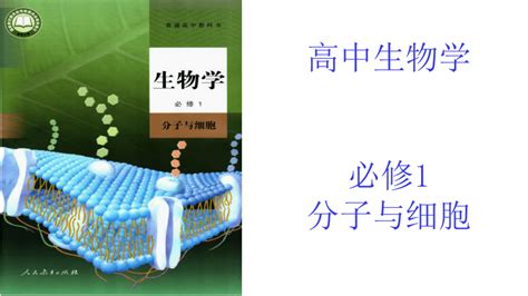 [生物]细胞是生命活动的基本单位课件 共40张ppt 人教版必修1 课件下载预览 二一课件通