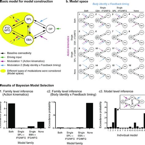 E Dynamic Causal Modeling Dcm Analysis A Dcm Models Were Based On Download Scientific