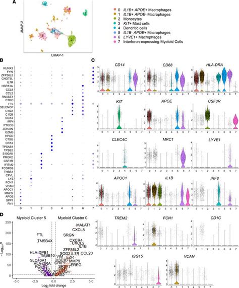 Jci Insight Single Cell Profiling Reveals Inflammatory Polarization