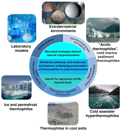 Freezing” Thermophiles From One Temperature Extreme To Another