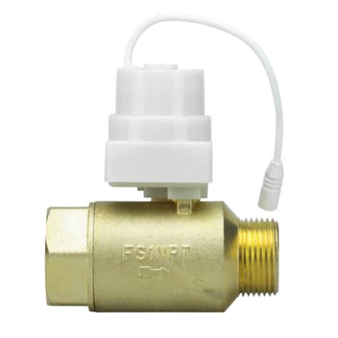 Floodstop 20086 Fsav1npt 1 Motorized Valve