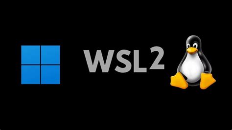 Commands And Advanced Management For Wsl 2 On Windows 11 Complete Guide
