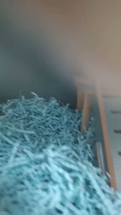 특별한강아지 기쁨햄스터 Youtube