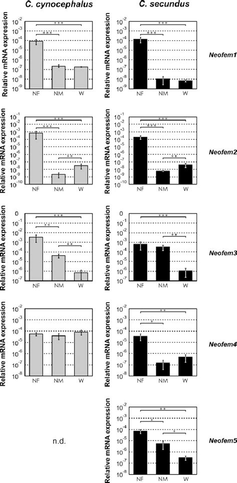 Relative Expression Levels Of Neofem15 Genes In Different Castes Download Scientific Diagram