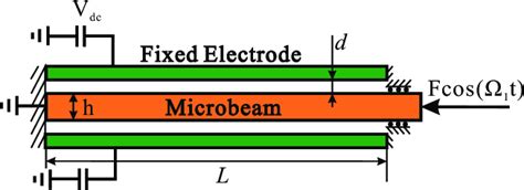 Schematic Of An Electrically Actuated Microbeam By Hamiltons Principle Download Scientific