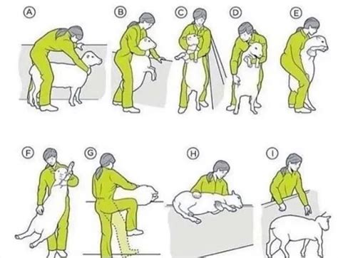 Welsh Sex Education Class Be Like Repeat Step G Rokmatewanker