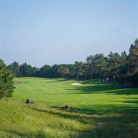 제주 더클래식cc 부영cc 1박2일 36홀 숙소포함 제주골프부킹 2인 5인 플레이 제주도골프패키지 제주단체골프 예약 제주골프여행 제주골프투어