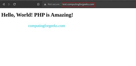 Hosting Php Applications On Linux With Apache Nginx Web Server
