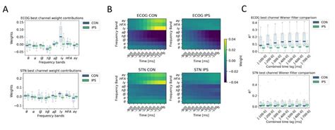 Linear Model Analysis Shows Movement Typical Frequency Band Download Scientific Diagram
